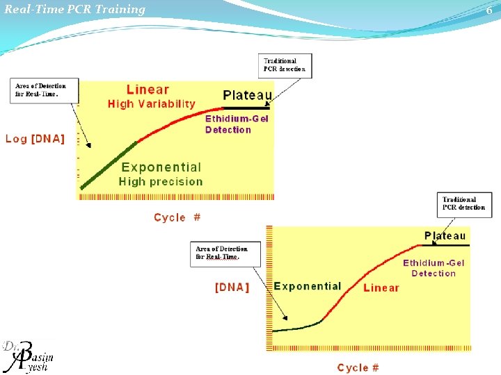 RealTime PCR Training Real time Pcr Biotechnology training