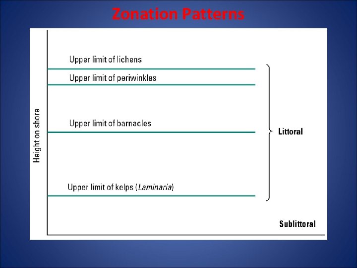 Factors affecting Rocky Intertidal Zonation Patterns Intertidal Zones