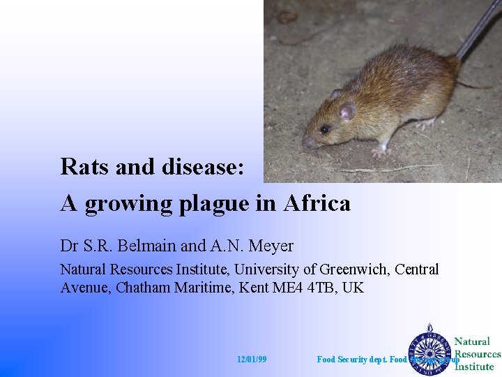 Rats and disease A growing plague in Africa