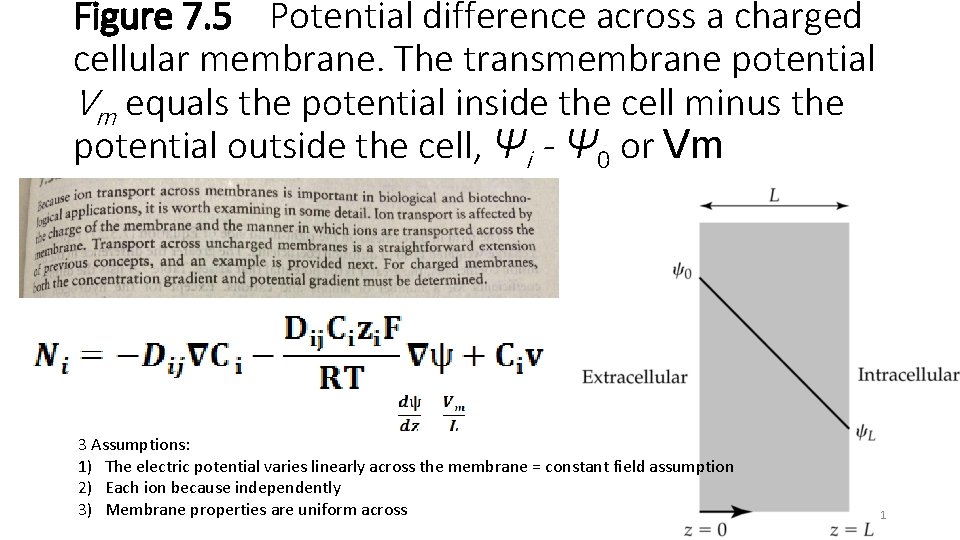 Figure 7 5 Potential difference across a charged
