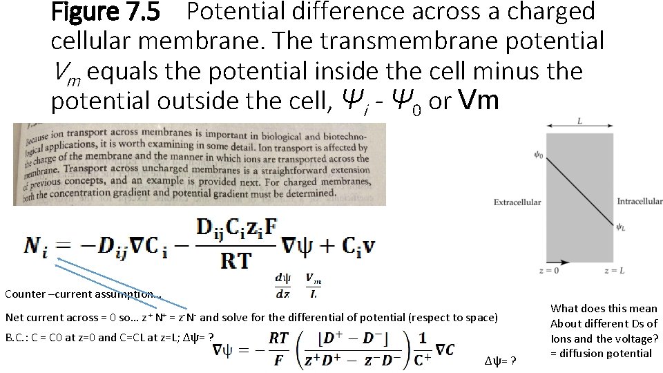 Figure 7 5 Potential difference across a charged