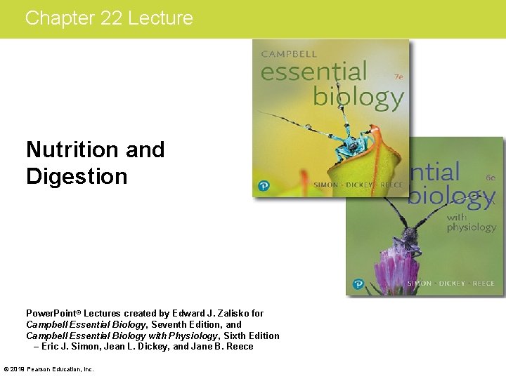 Chapter 22 Lecture Nutrition and Digestion Power Point