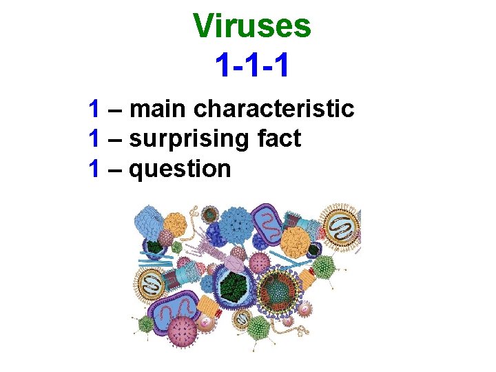 Viruses 1 1 1 1 main characteristic 1