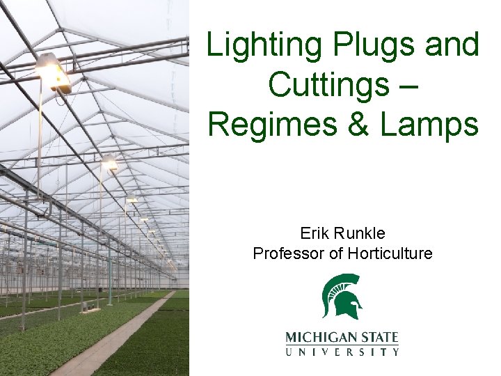 Lighting Plugs and Cuttings Regimes Lamps Erik Runkle