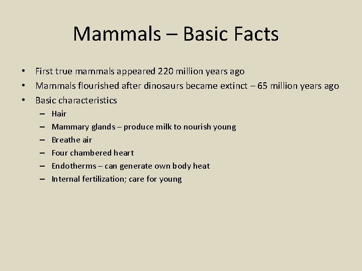 Mammals Basic Facts First true mammals appeared 220