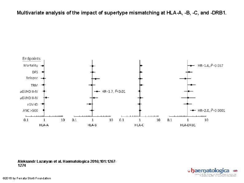Human leukocyte antigen supertype matching after myeloablative ...