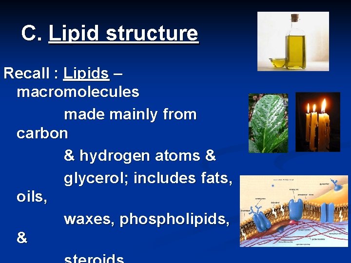 III Chemistry Lipid structure and Cell Boundaries Chemistry