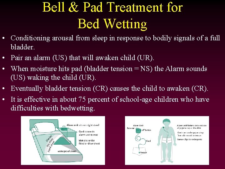 Behavior Therapies Module 71 Behavior Therapy Behavioristic perspective