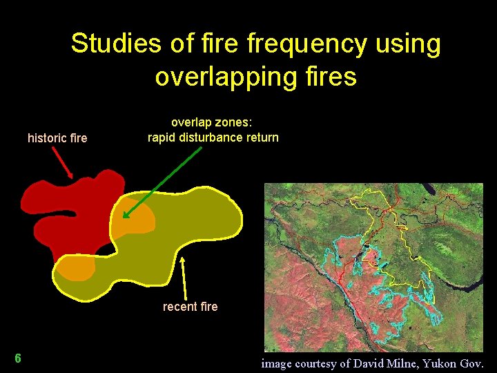 Fire effects on regeneration cycles in northern boreal
