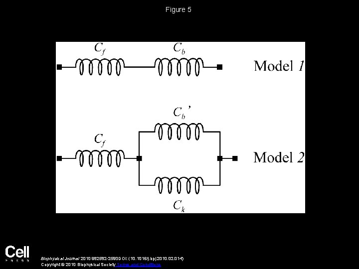Is the CrossBridge Stiffness Proportional to Tension during