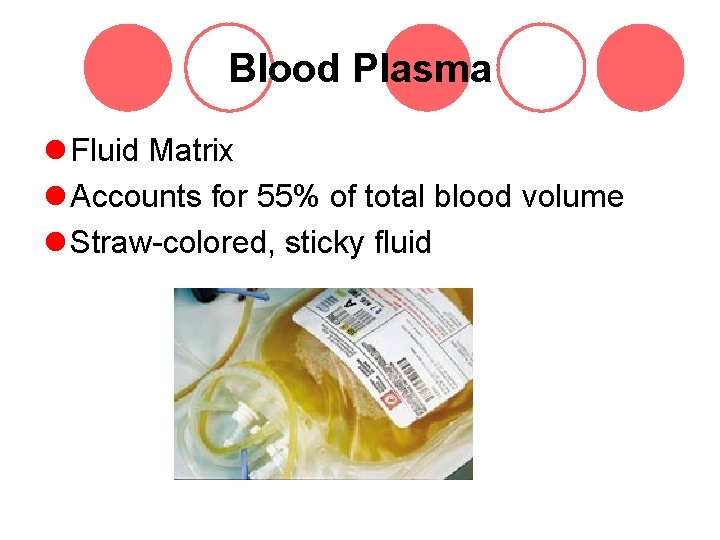 Chapter 17 Blood Overview Blood Composition and Function