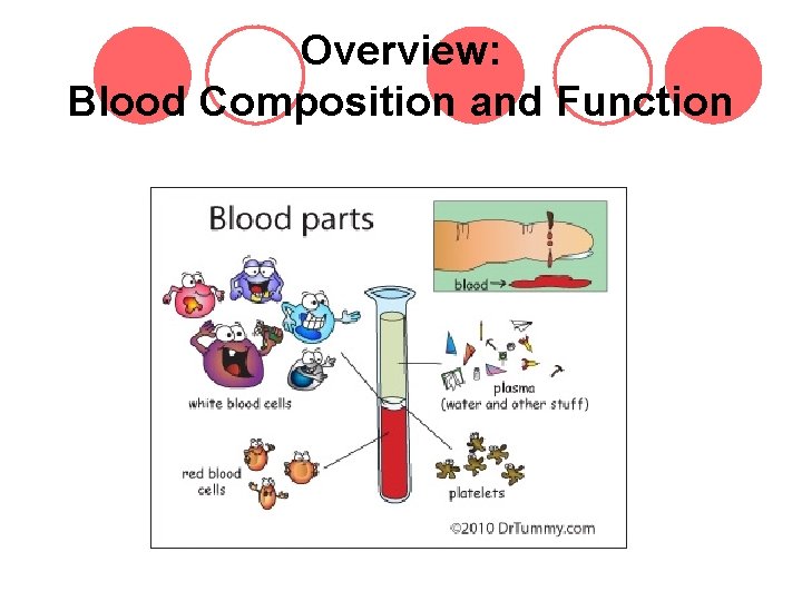Chapter 17 Blood Overview Blood Composition and Function
