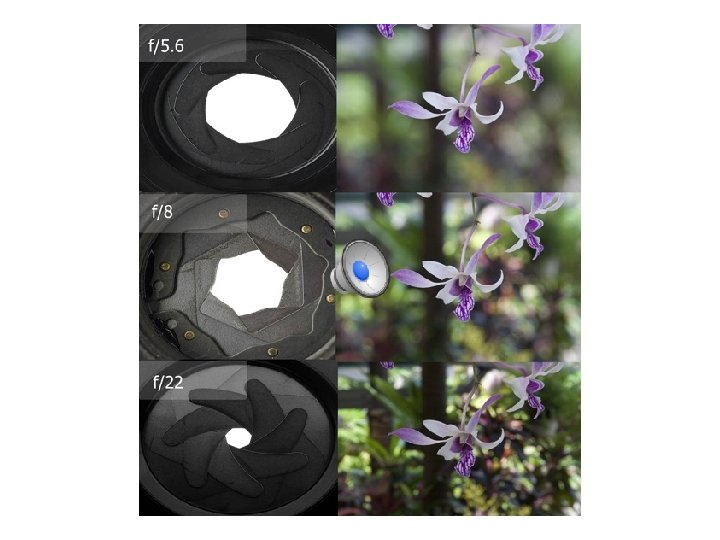 Aperture Aperture Controls the amount of light entering