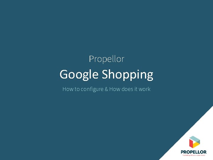 Propellor Google Shopping How to configure How does