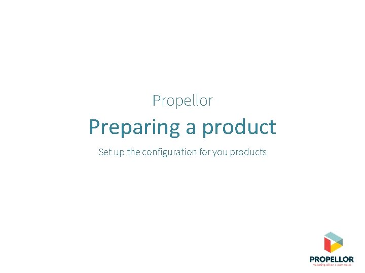 Propellor Google Shopping How to configure How does