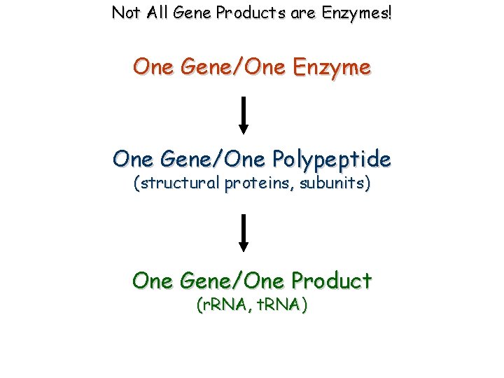 Molecular Basis for Relationship between Genotype and Phenotype