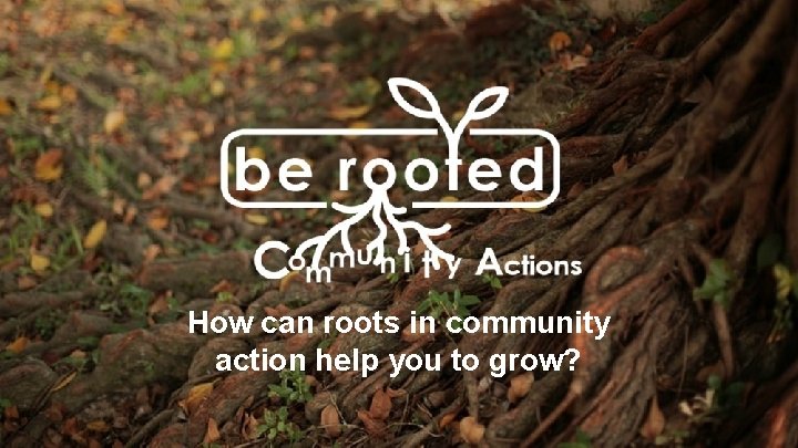 How can roots in community action help you