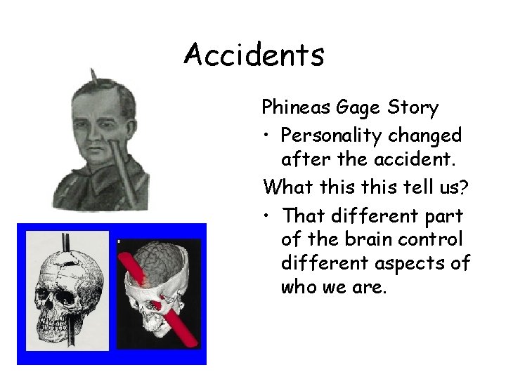 The Lower Brain Accidents Phineas Gage Story Personality