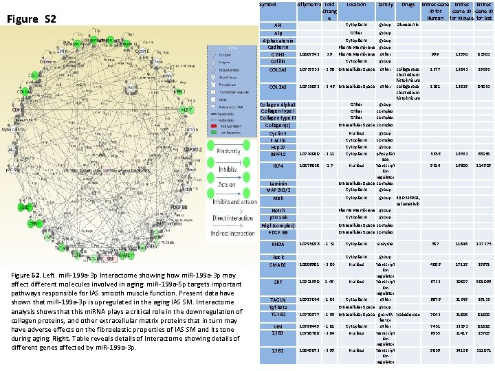 Symbol Figure S 2 Location Family Drugs Akt