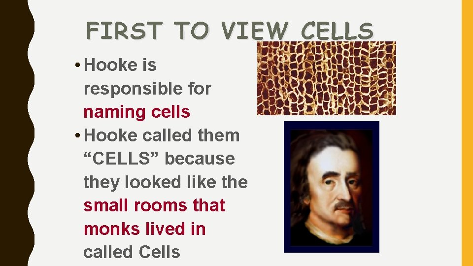 BASIC STRUCTURE OF CELL SAURABH MARU ASSISTANT PROFESSOR