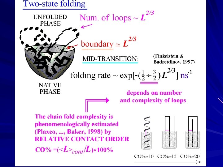 PROTEIN PHYSICS LECTURE 21 Protein Structures Kinetic Aspects
