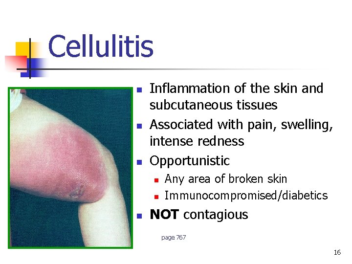 Skin problems n n n n Dermatitis Bacterial