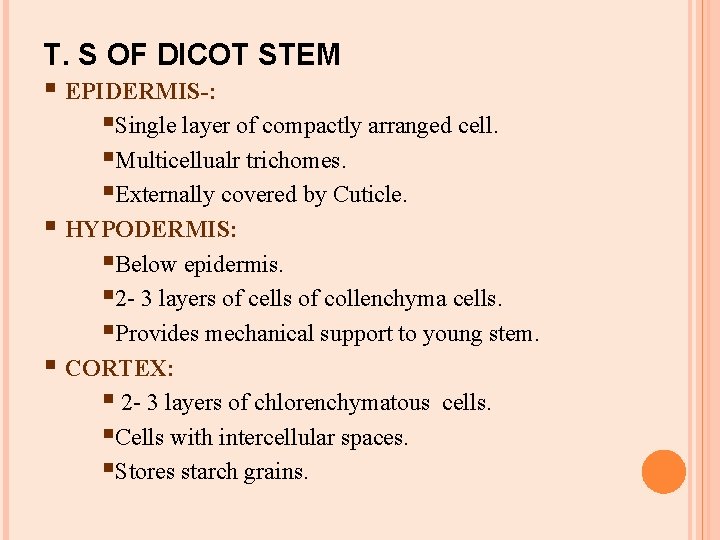 ANATOMY OF DICOT AND MONOCOT STEM PARTS OF