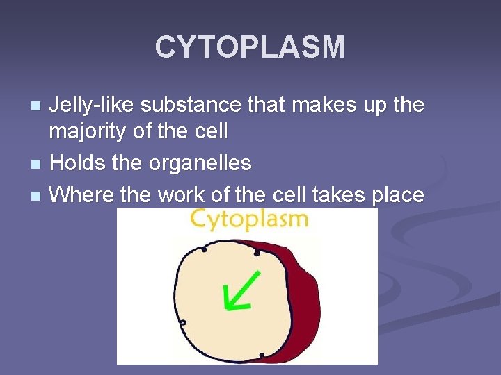 CELL PARTS Brain POP Microscopes Cell Structures Video