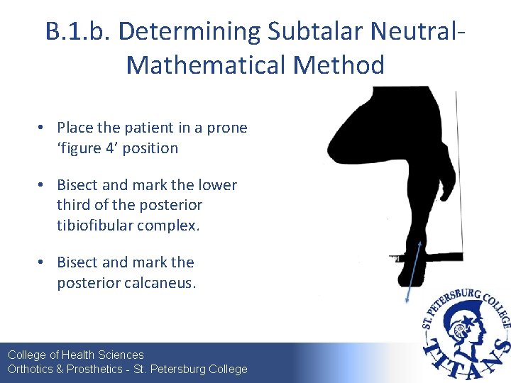 Module 7 Clinical Assessment of the Foot and