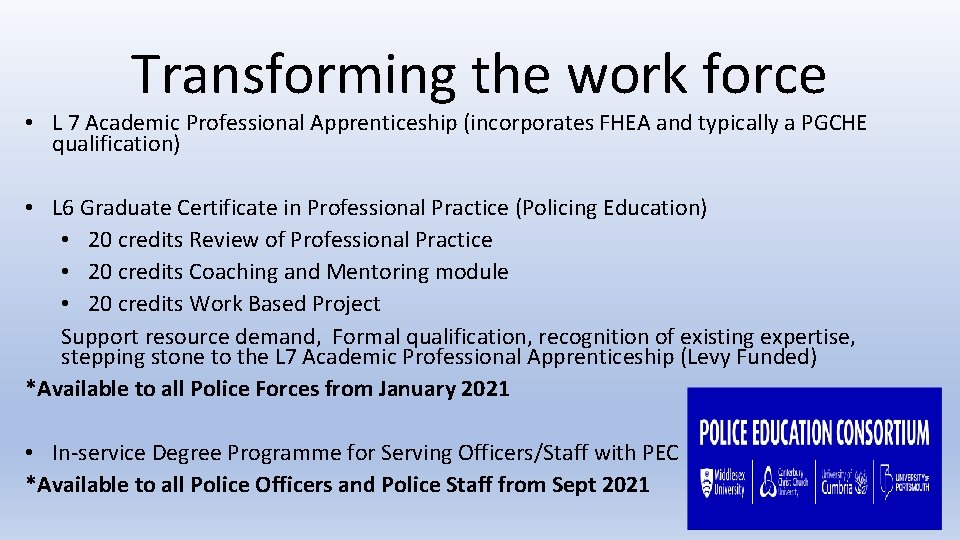 Dr Tara Dickens Director of Policing Canterbury Christ
