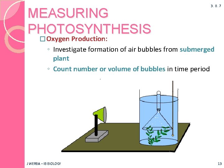 PHOTOSYNTHESIS Topic 3 8 IB Biology Miss Werba