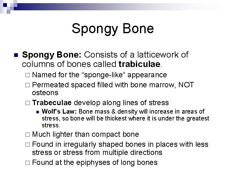 Bone Tissue Part 2 Support Movement Function of