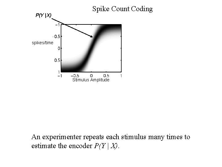 Neural Coding Through The Ages February 1 2002