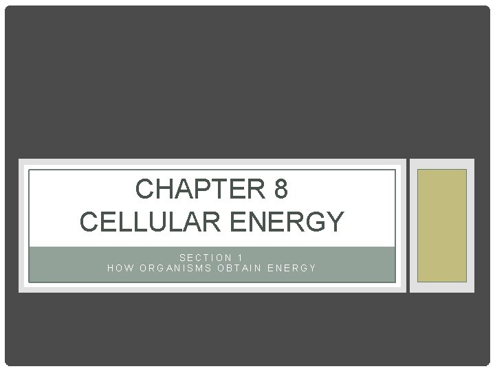 CHAPTER 8 CELLULAR ENERGY SECTION 1 HOW ORGANISMS