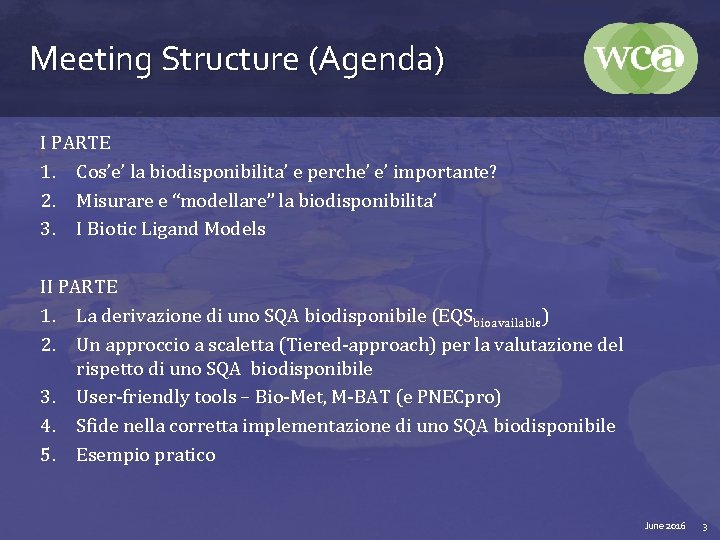 Bioavailability of metals An introductory session Lidia Ceriani