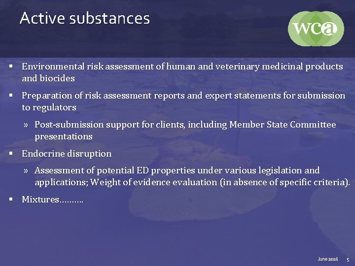 Bioavailability of metals An introductory session Lidia Ceriani