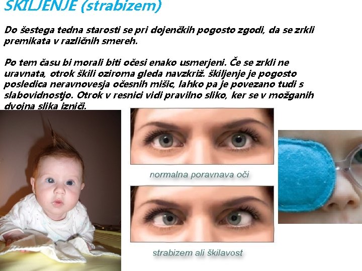 Kako oko deluje Osnovni princip oblikovanja slike v