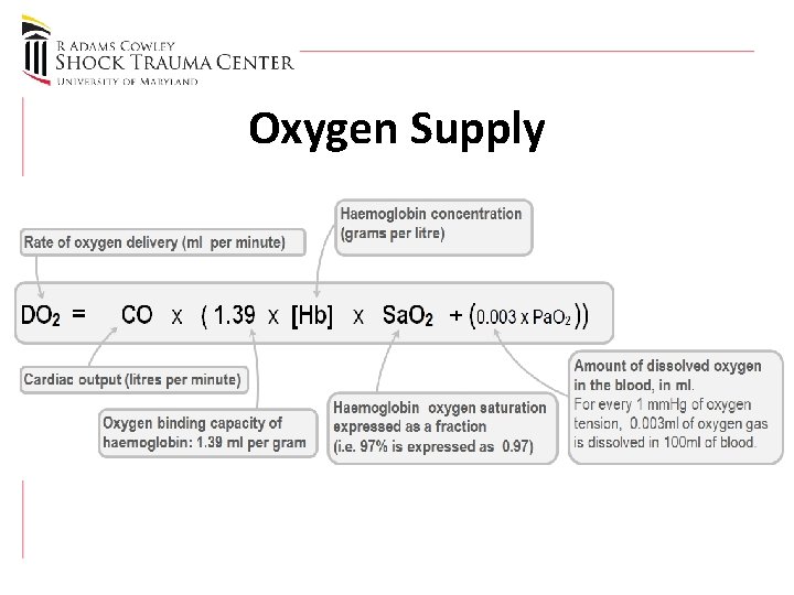 Physiology of VenoVenous ECMO Sam Galvagno D O