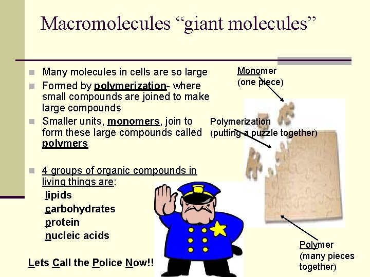 Macromolecules giant molecules n Many molecules in cells