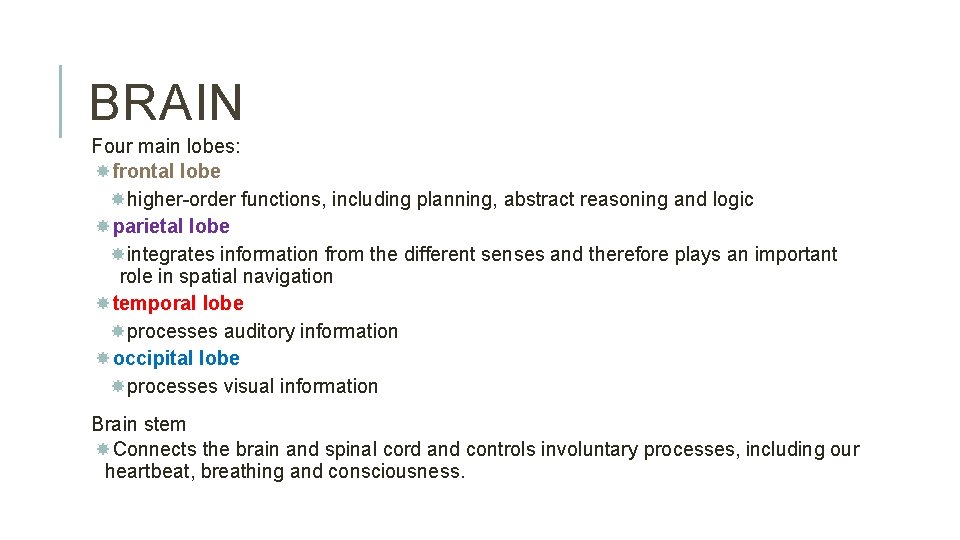 BIOPSYCHOLOGY SPECIFICATION The divisions of the nervous system