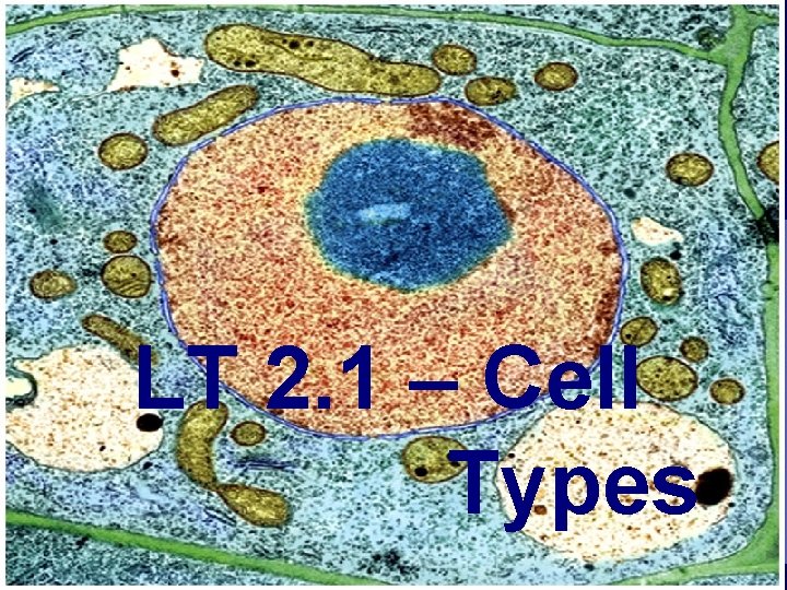 LT 2 1 Cell Types Cells Smallest living