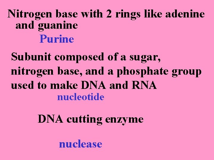 AP BIOLOGY RNA DNA Proteins Chapters 16 17