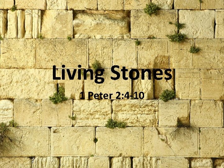 Living Stones 1 Peter 2 4 10 Two