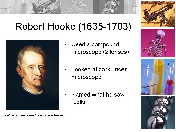 Cell Theory and the Scientists Who Helped Shape