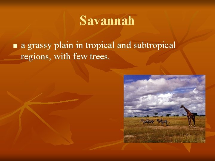 Unit 7 Civilizations of Africa Vocabulary Desert n