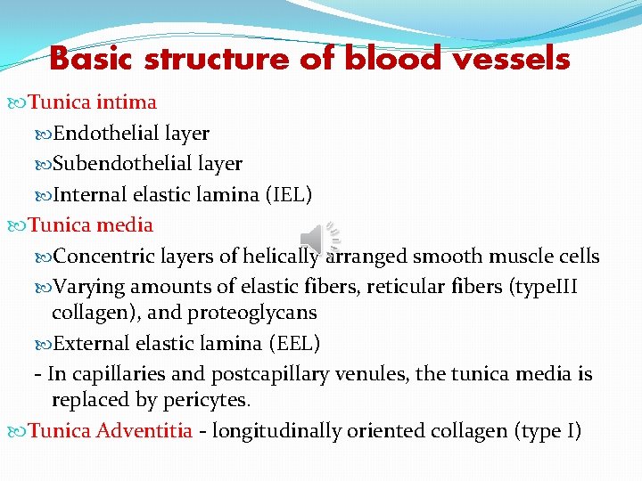 Prepared by Dr Esam Omar Components of vascular