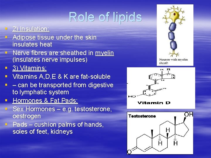 Sources of Energy Unit 5 Carbohydrates All contain