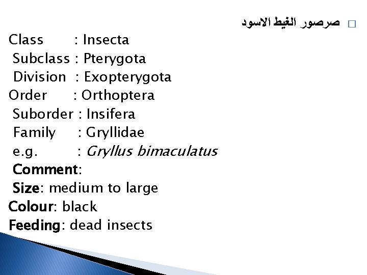 Class Insecta Subclass Pterygota Division Exopterygota Order Orthoptera