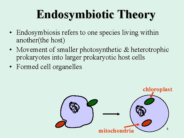 BACTERIA NOTES Cellular Evolution Prokaryotes and Eukaryotes Current