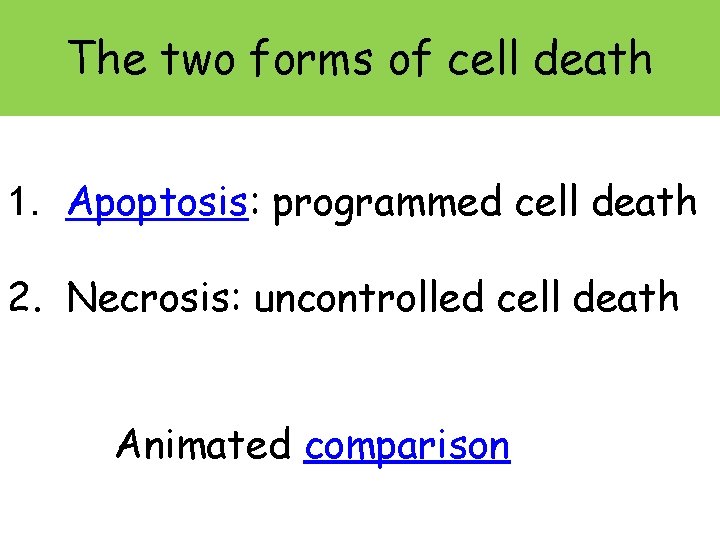 AH Biology Unit 1 Apoptosis Apoptosis Los 1